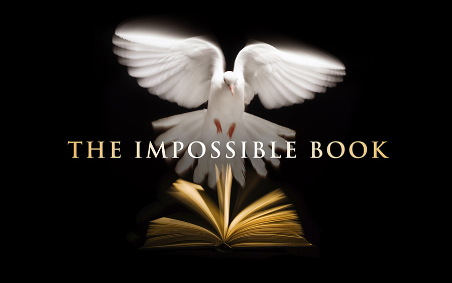 The Impossible Book - Bible Matrix